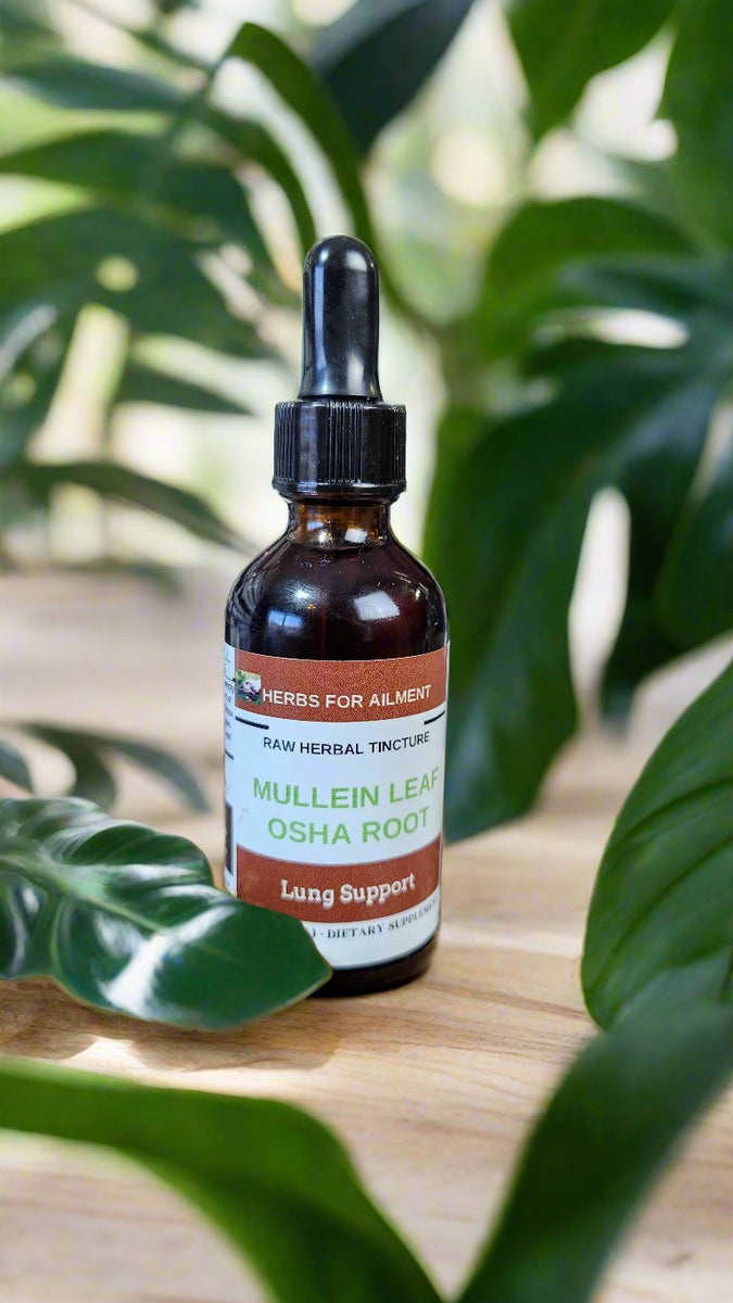 Mullein Lung Harmony Tonic, Respiratory Support and Mucus Relief, Mucu ...